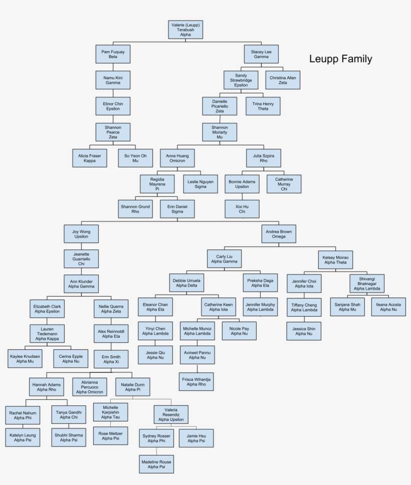 Download Leupp Family Tree - Diagram | Transparent PNG Download | SeekPNG