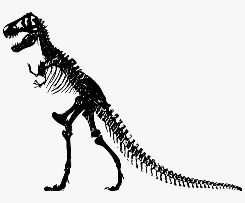Download Dinosaur Bones - T Rex Skeleton Clip Art | Transparent PNG ...