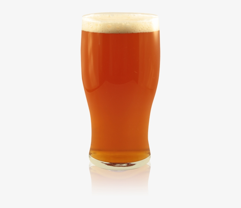 Craft Beer Png PNG Image | Transparent PNG Free Download on SeekPNG