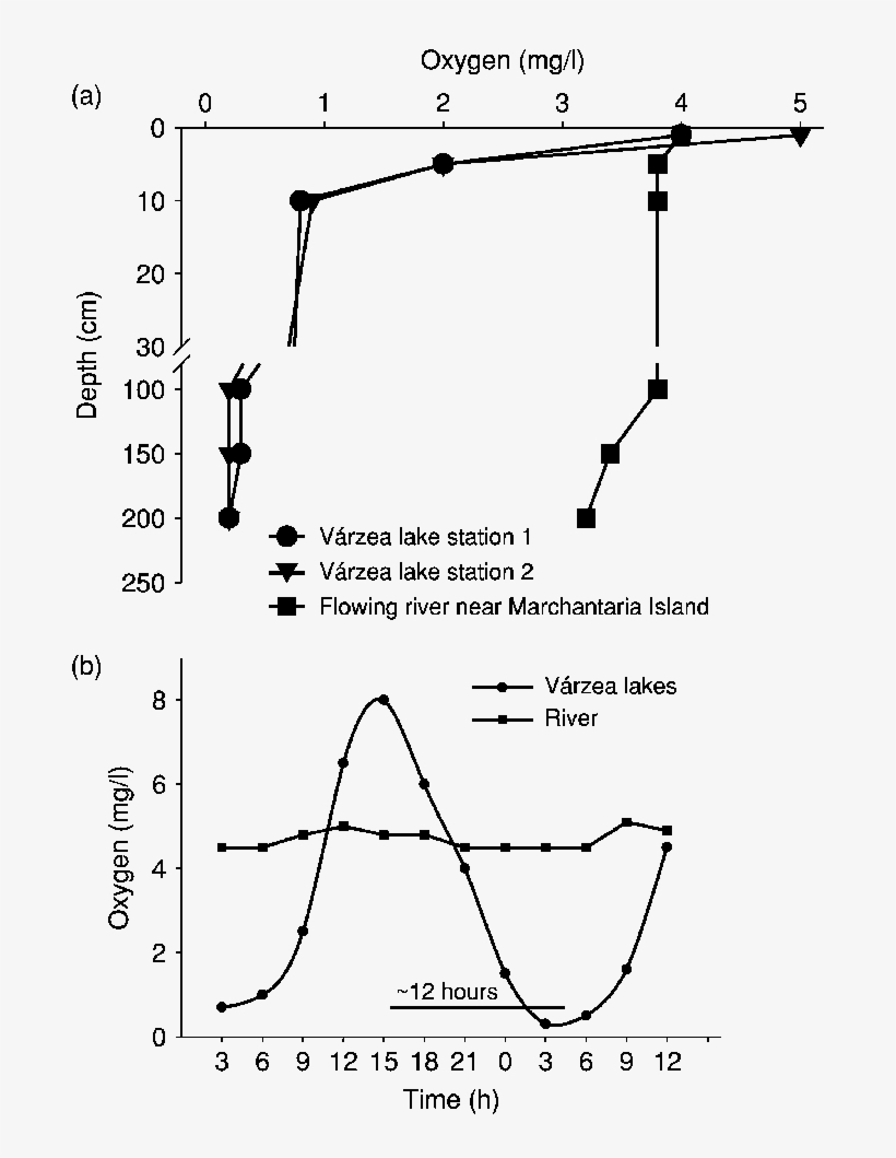 4 Changes In Dissolved Oxygen In Water Bodies Of The - Diagram PNG ...