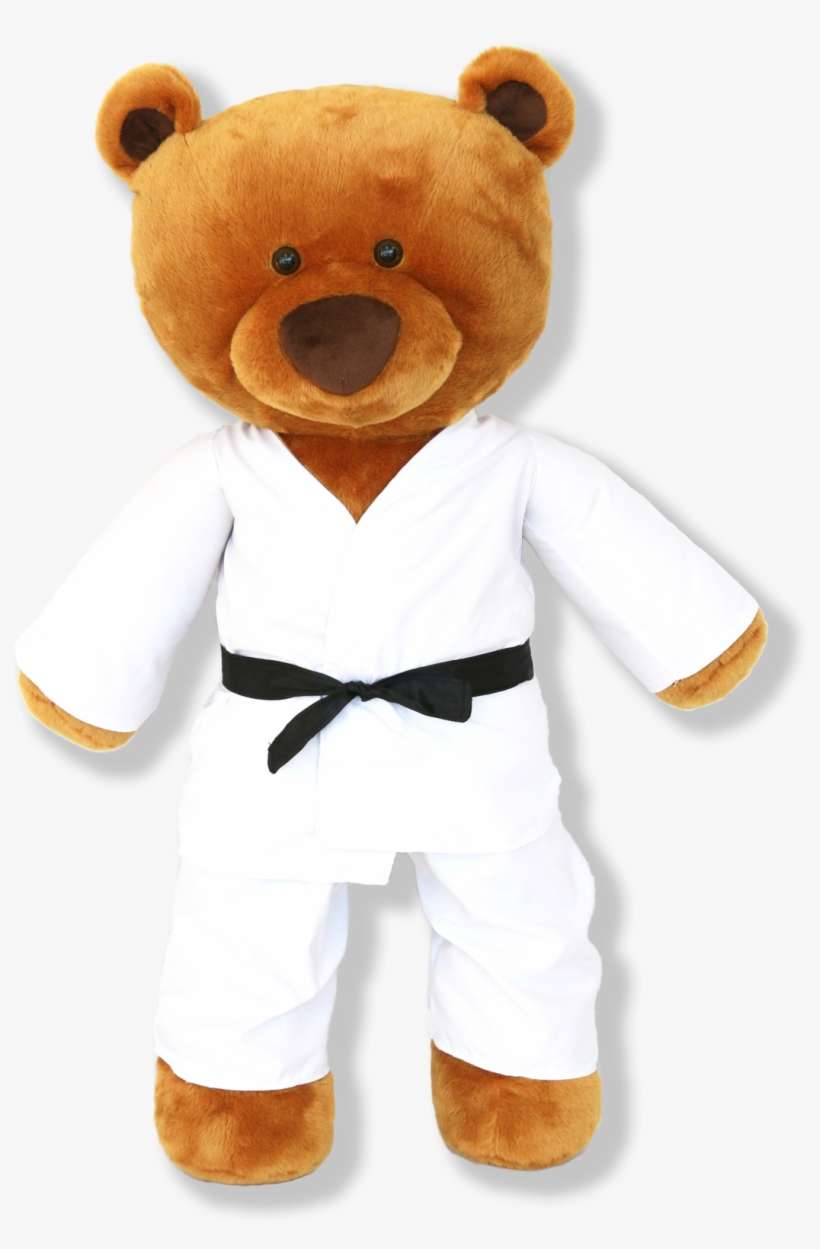 Jiu Jitsu Bear PNG Image | Transparent PNG Free Download on SeekPNG