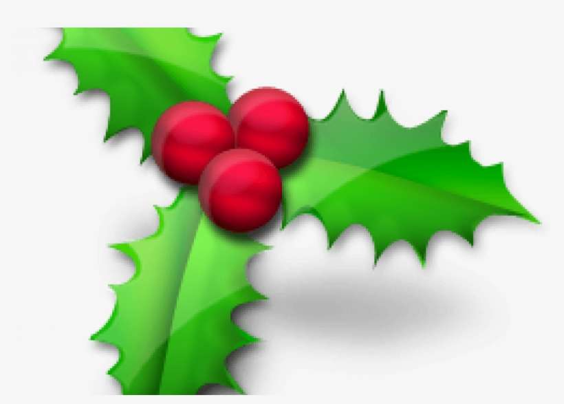 Holly - Christmas Holly Icons PNG Image | Transparent PNG Free Download ...