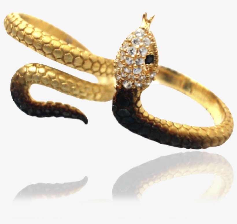 Ember Wrapped Snake - Body Jewelry PNG Image | Transparent PNG Free ...