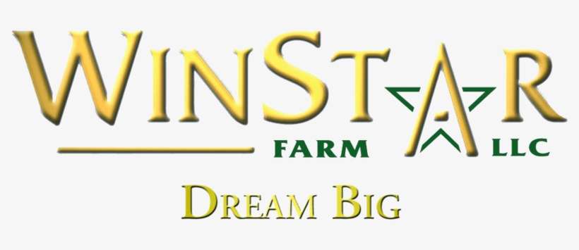Winstar Dream Big Logo Transparent - Winstar Farm Logo Png PNG Image ...