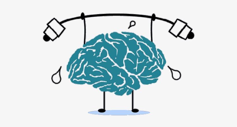 Brains Clipart Brain Power - Brain Plasticity PNG Image | Transparent ...