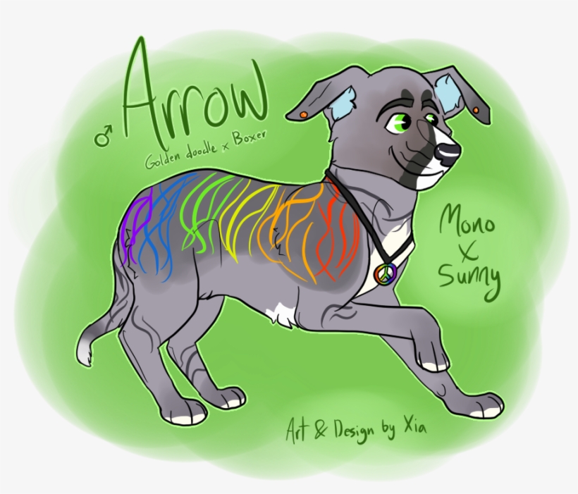 Arrow - Dog Catches Something PNG Image | Transparent PNG Free Download ...