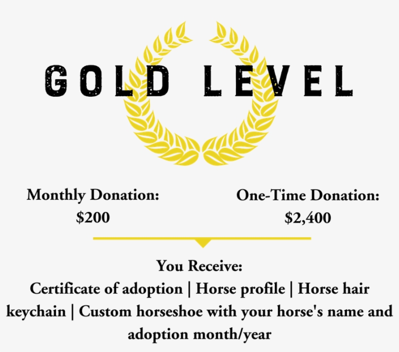 Gold Level - Circle PNG Image | Transparent PNG Free Download on SeekPNG