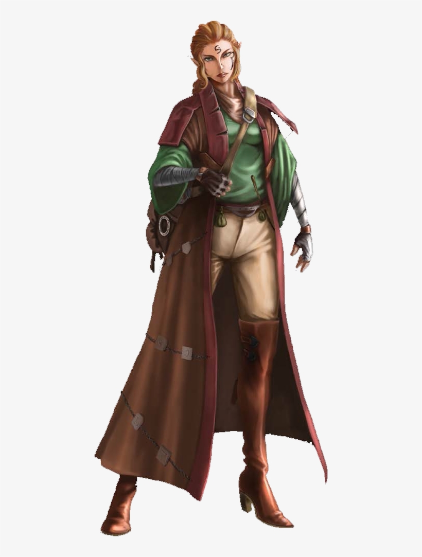 Elves Have Long Drawn The Covetous Gazes Of Other Races - Half Elf Png ...