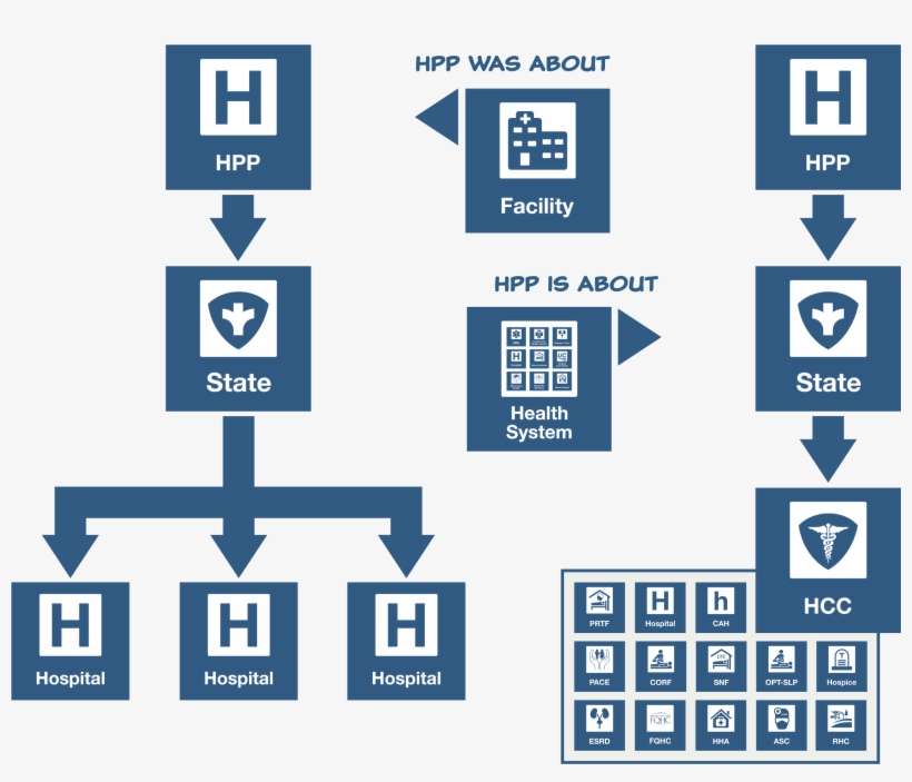 Hospital Preparedness Program Was Facility Focused - Graphic Design PNG ...