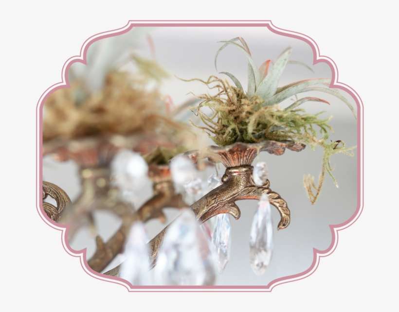 4 PNG Image | Transparent PNG Free Download on SeekPNG