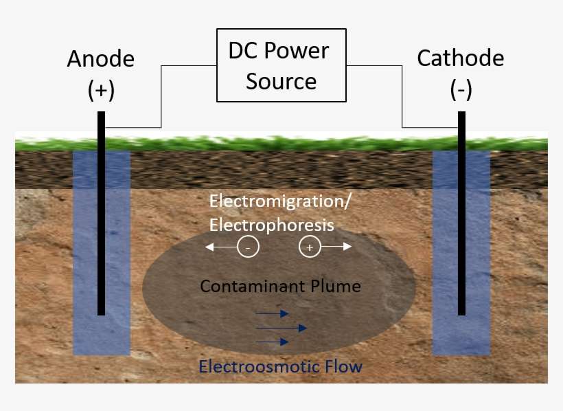 The Flow Of Charged Particles Between The Anode And - Grass PNG Image ...