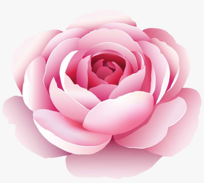 Japanese Flower Png PNG Image | Transparent PNG Free Download on SeekPNG