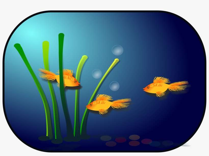 This Free Icons Png Design Of Fish Png PNG Image | Transparent PNG Free ...