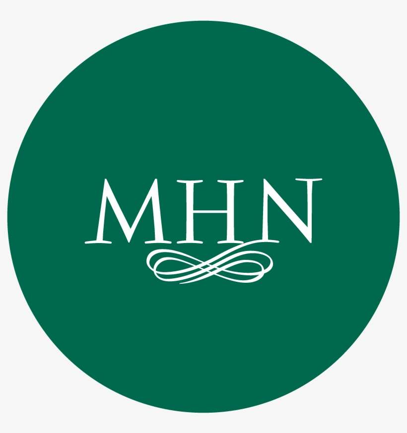 Download Museo Histórico Nacional - Insead Logo | Transparent PNG ...