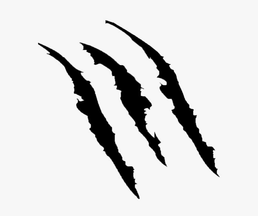 Download 577 X 607 12 - Blue Claw Marks | Transparent PNG Download ...