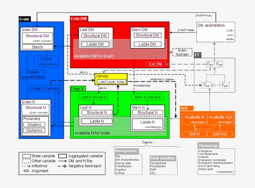 Download Siriusquality2 Flow Chart - Crop Growth Simulation ...