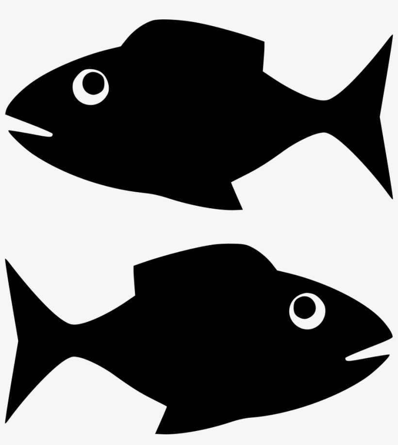 Png File Svg - Fish PNG Image | Transparent PNG Free Download on SeekPNG