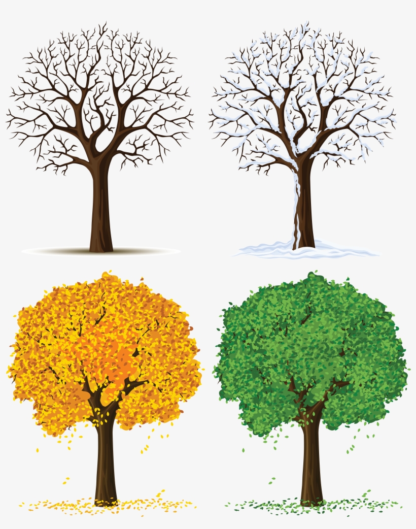 4 Seasons Clipart
