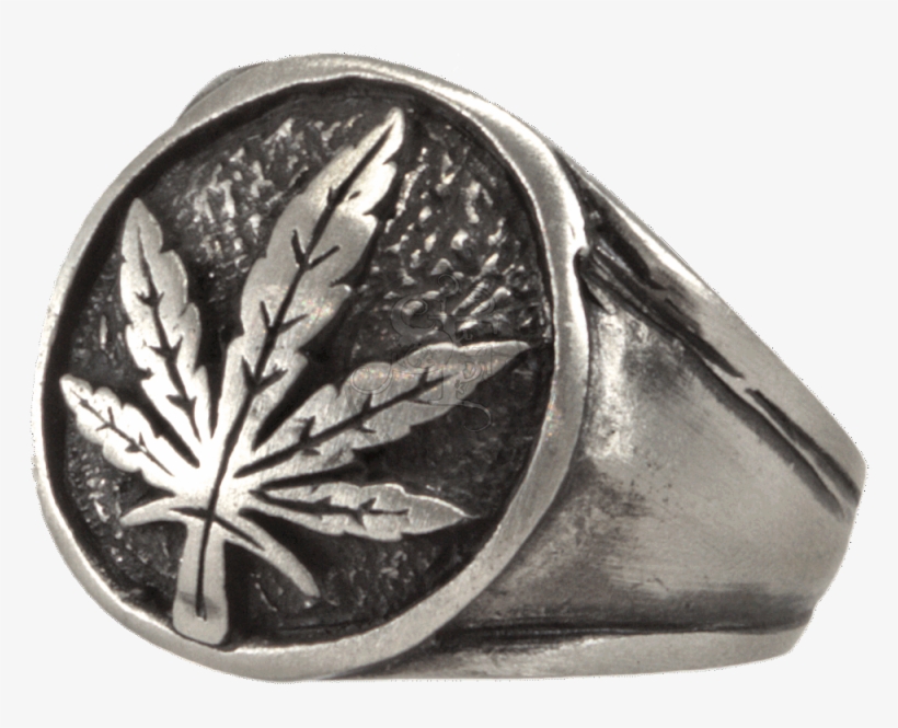 Signet Ring Hemp-leaf Biker Ring - Titanium Ring PNG Image ...
