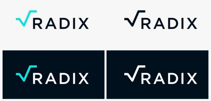 The Logo Can Be Used Both On A White And Dark Background - Radix Dlt ...