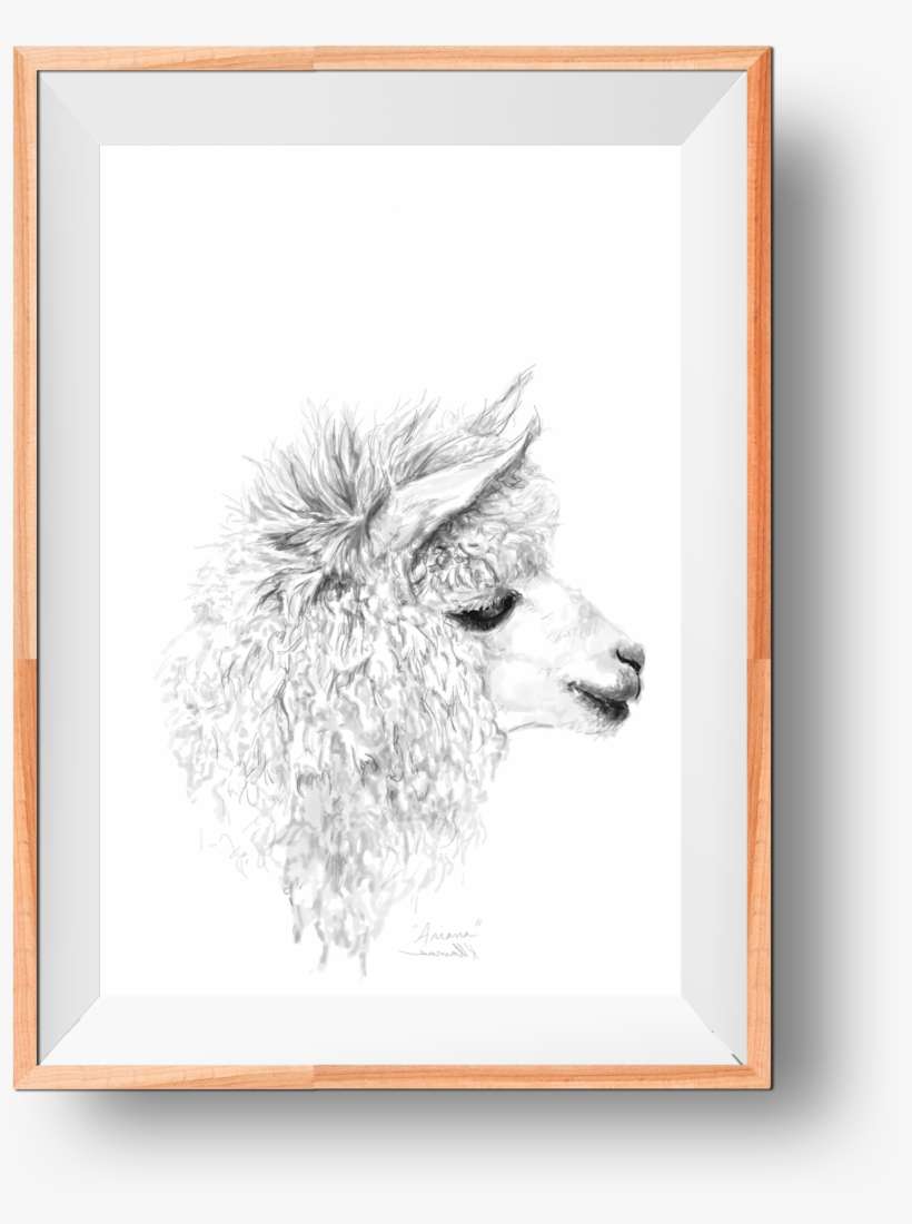 Brown Llama- Art Paper Print Llamas Art Show - Llama PNG Image ...