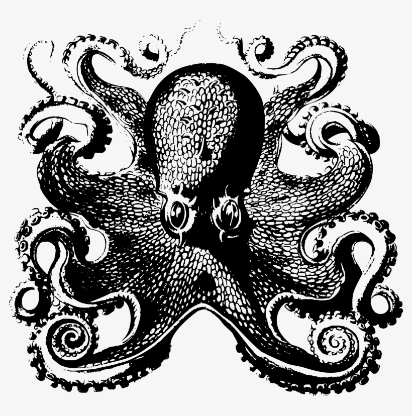Medium Image - Octopus Front PNG Image | Transparent PNG Free Download ...