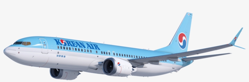 Boeing - Boeing 737 Next Generation PNG Image | Transparent PNG Free ...
