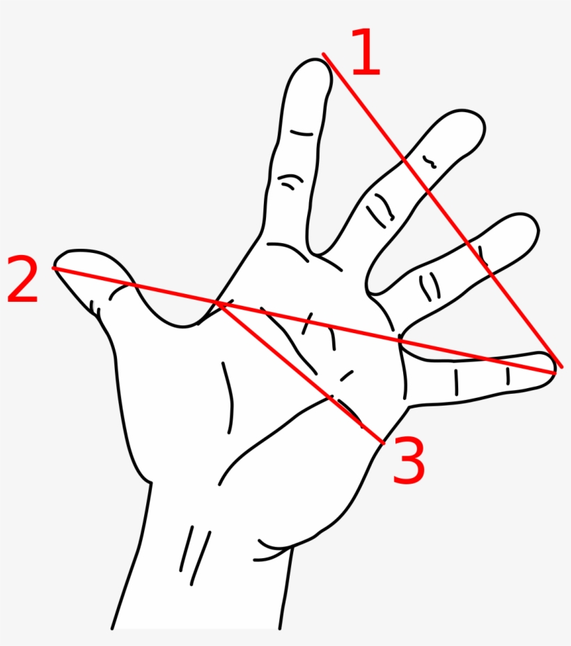 Download Hand Measurements | Transparent PNG Download | SeekPNG