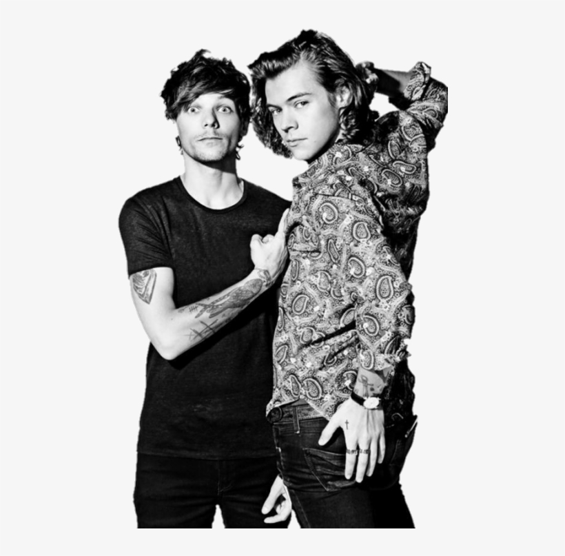 Larry Stylinson PNG Image | Transparent PNG Free Download on SeekPNG
