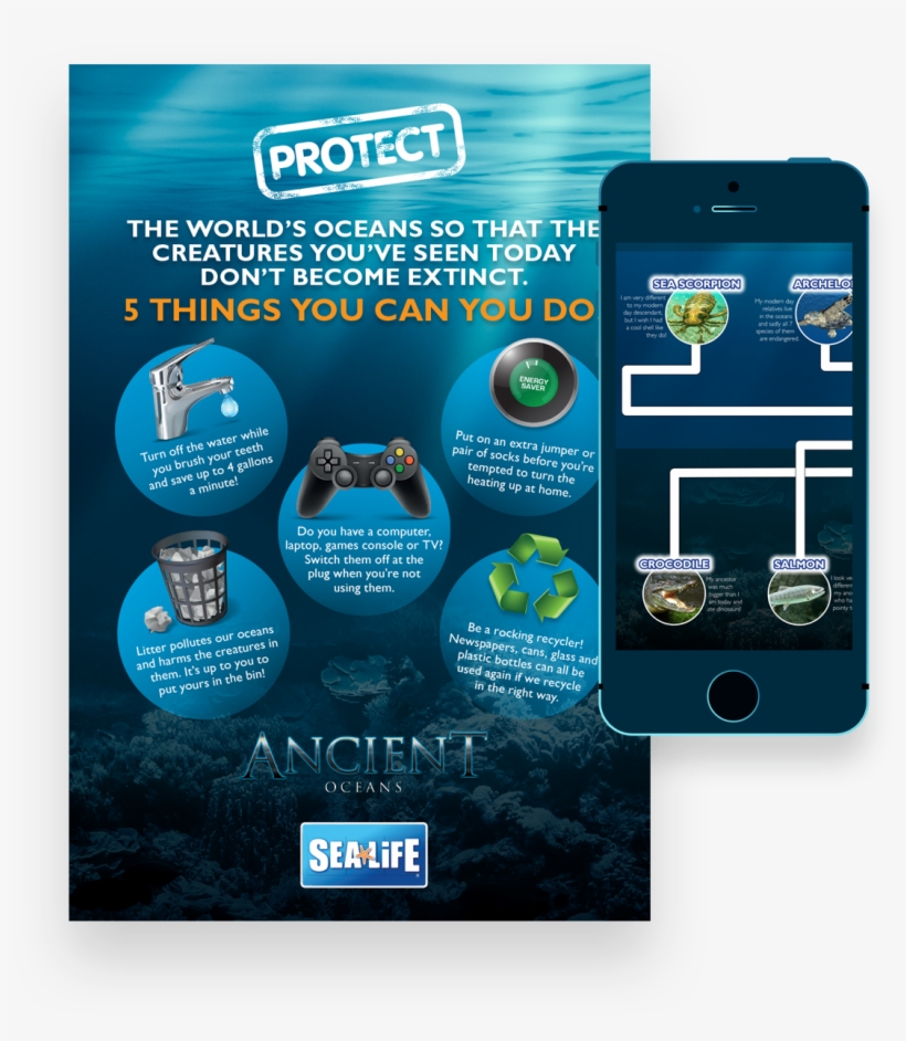 Our Solution - Flyer PNG Image | Transparent PNG Free Download on SeekPNG