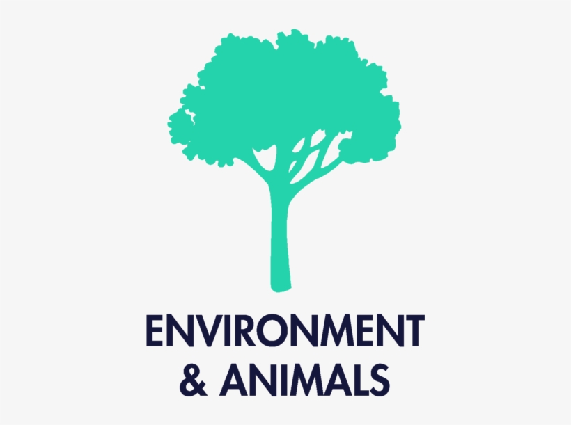 Environment And Animals PNG Image | Transparent PNG Free Download on ...