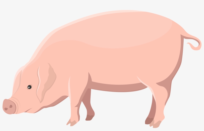 Pig Transparent Clip Art Image PNG Image | Transparent PNG Free ...