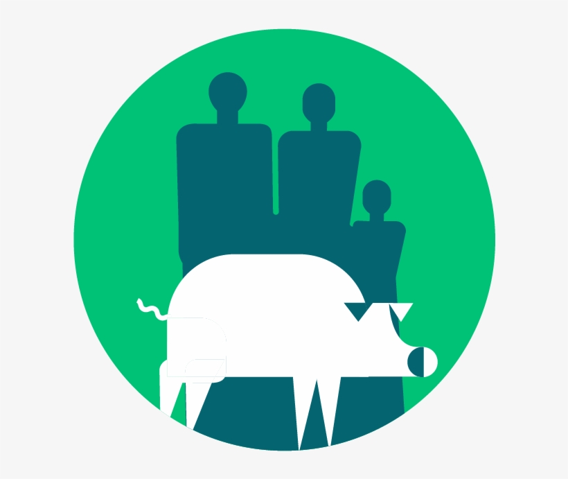 Illustrations Pigs Positive PNG Image | Transparent PNG Free Download ...