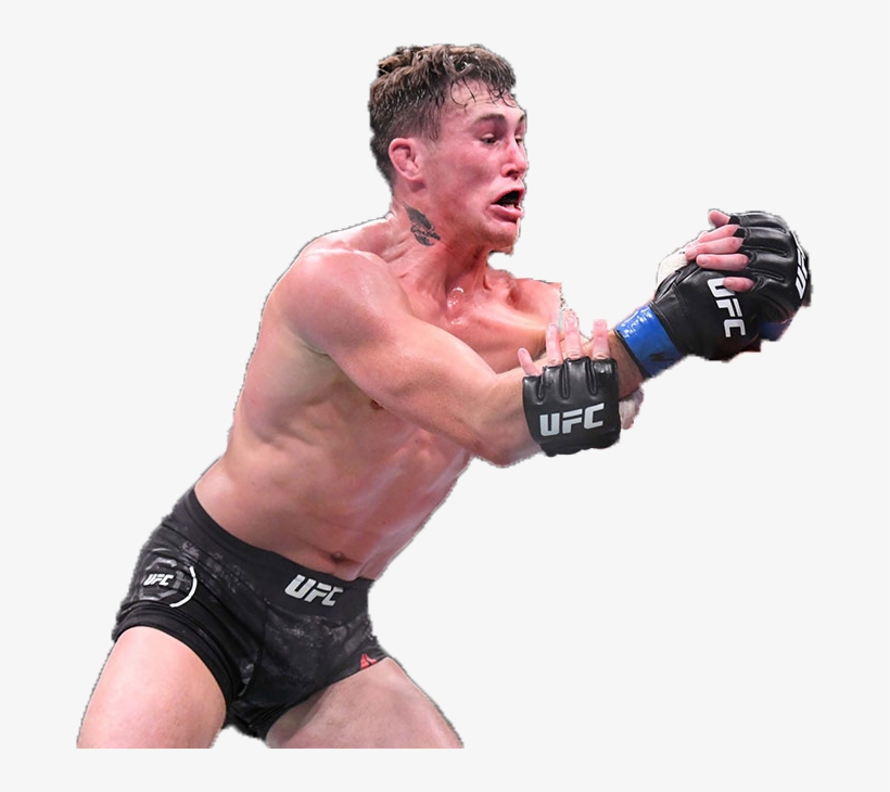 Download [ Img] - Professional Boxing | Transparent PNG Download | SeekPNG