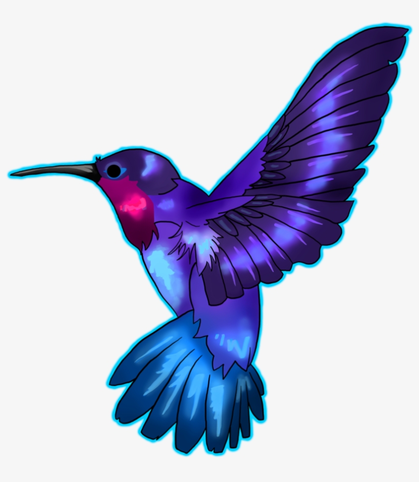Hummingbird PNG Image | Transparent PNG Free Download on SeekPNG