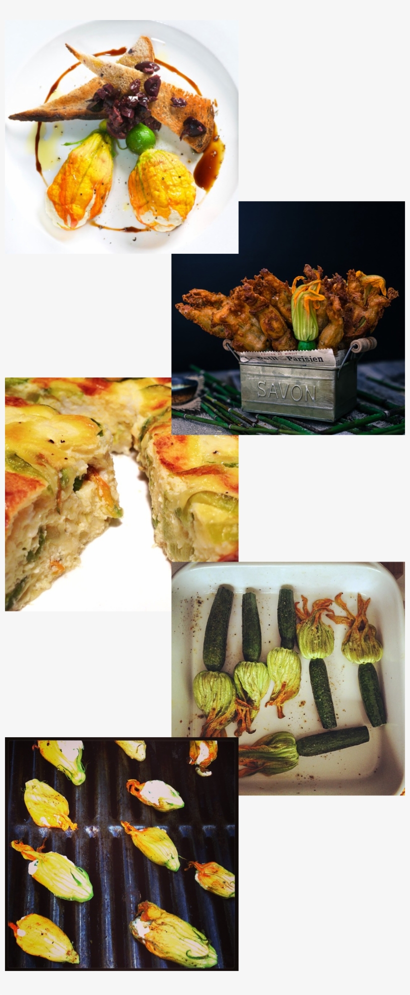 Zucchini Blossoms PNG Image | Transparent PNG Free Download on SeekPNG