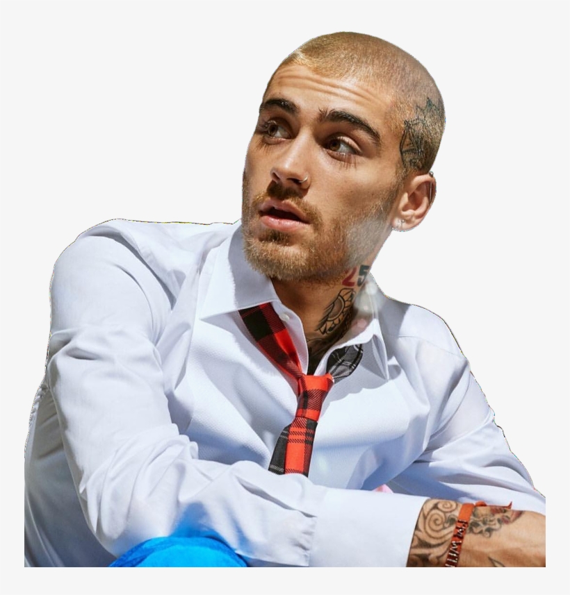 Zayn Malik PNG Image | Transparent PNG Free Download on SeekPNG