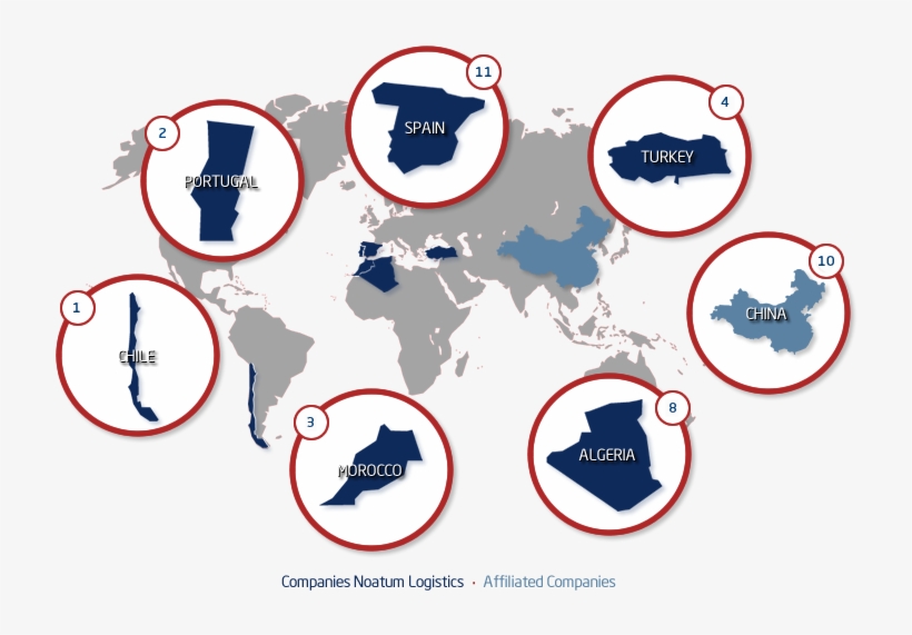 Find - World Map PNG Image | Transparent PNG Free Download on SeekPNG