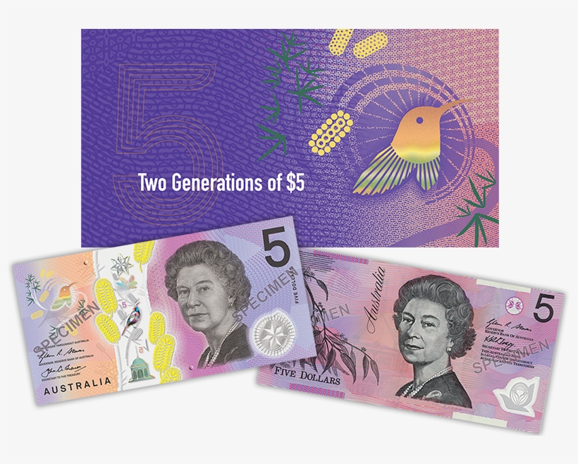 50 Dollar Bill Png PNG Image | Transparent PNG Free Download on SeekPNG