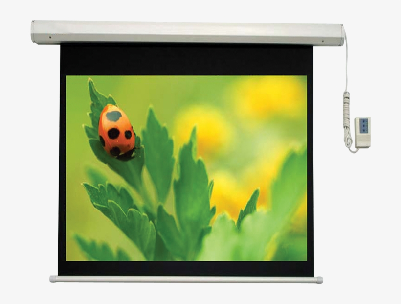 Electric Projection Screen - Projection Screen PNG Image | Transparent ...
