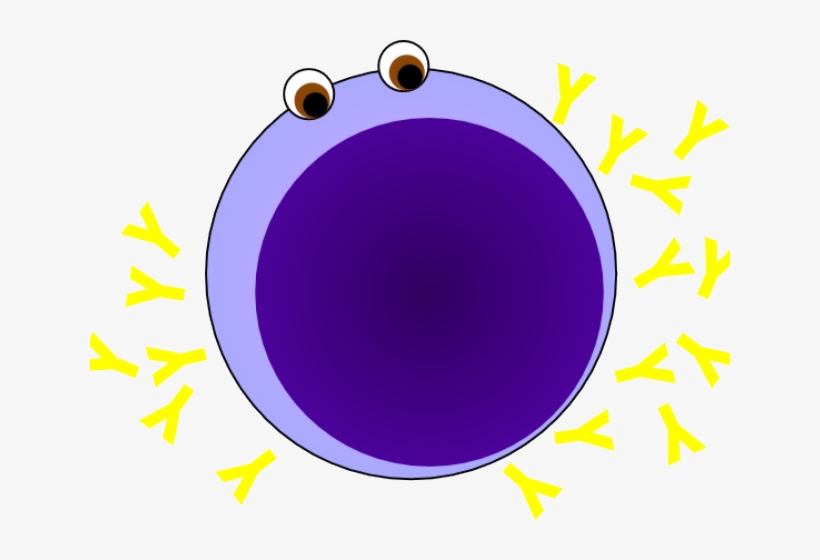Plasma Clipart Lymphocyte - Circle PNG Image | Transparent PNG Free ...