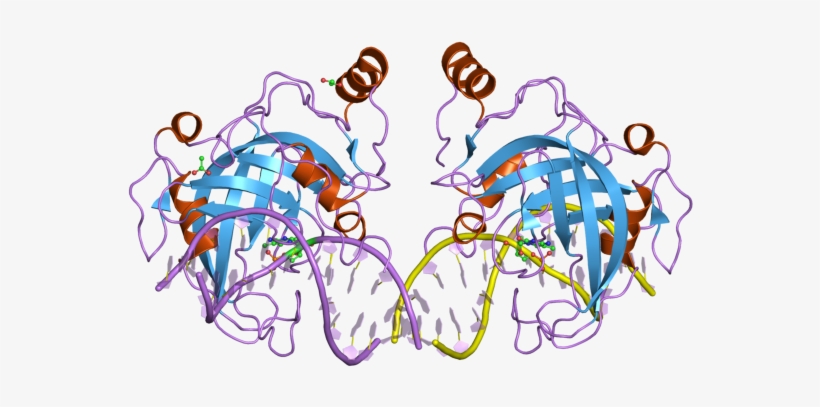 Pdb 2zkd Ebi - Illustration PNG Image | Transparent PNG Free Download ...