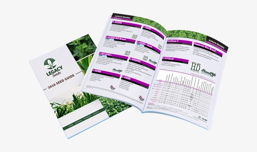 Seed Guide - Brochure PNG Image | Transparent PNG Free Download on SeekPNG