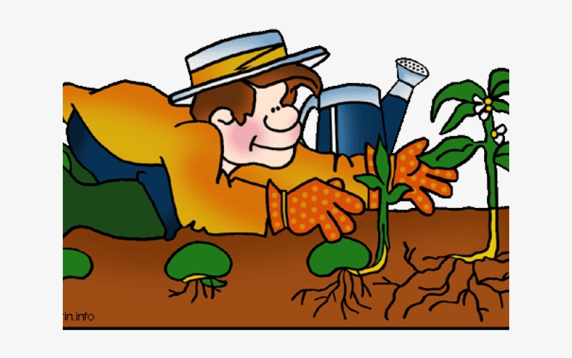 Plant Life Cycle Clipart