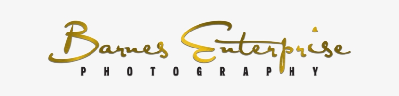 Download Barnes Enterprise Logo New | Transparent PNG Download | SeekPNG
