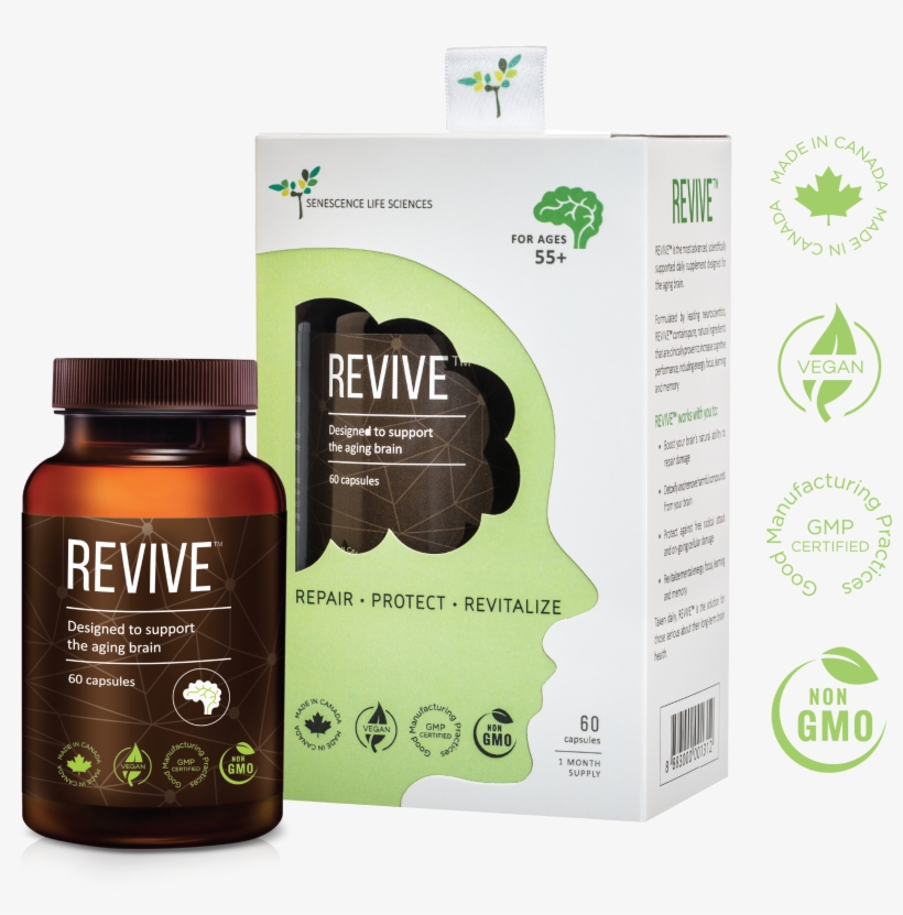 Download Revive™ Brain Supplement - Revive Senescence | Transparent PNG ...