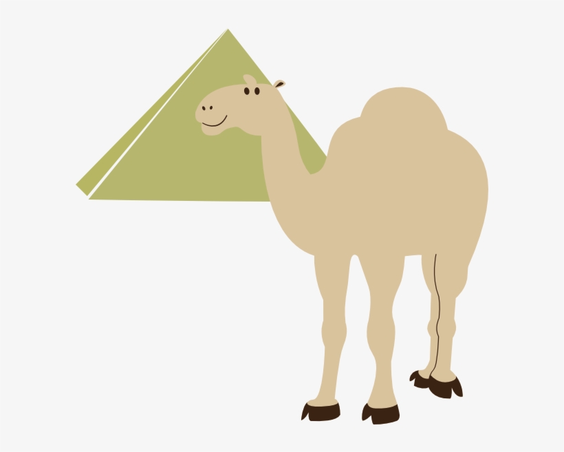 Camel In Pyramids Vector PNG Image | Transparent PNG Free Download on ...