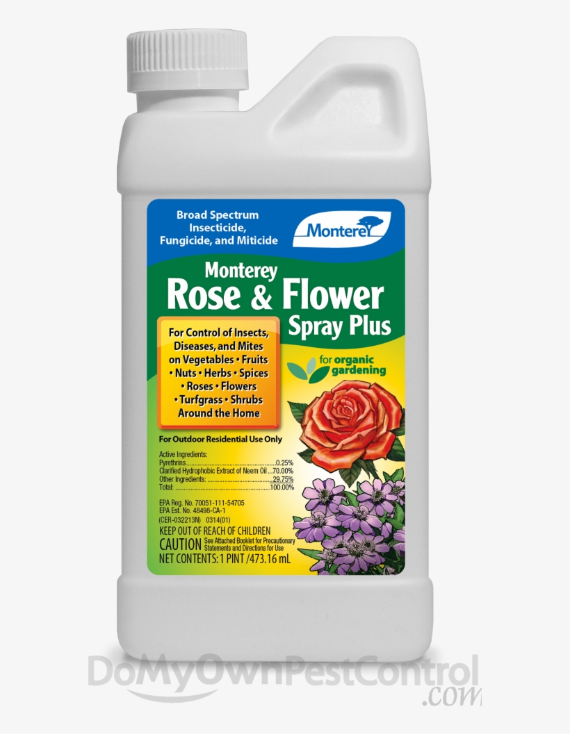 Monterey Logo Trans Background PNG Image | Transparent PNG Free ...