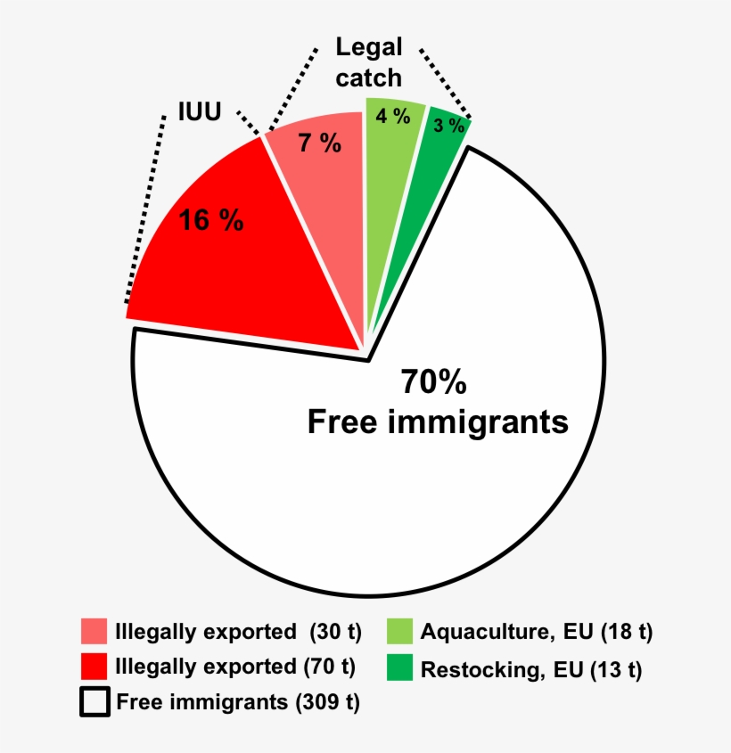 Sustainable Eel Group - Diagram PNG Image | Transparent PNG Free ...