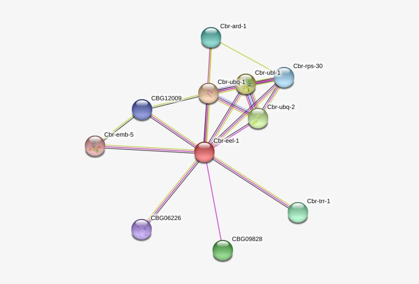 Diagram PNG Image | Transparent PNG Free Download on SeekPNG